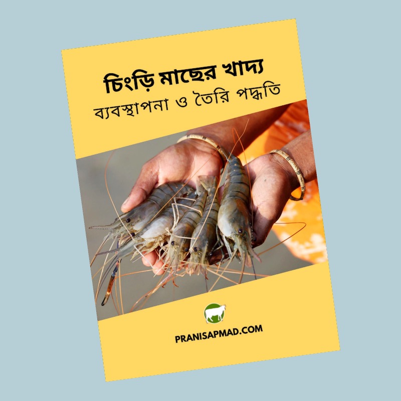 Shrimp feed চিংড়ি খাদ্য Ebook - PraniSampad Dot Com